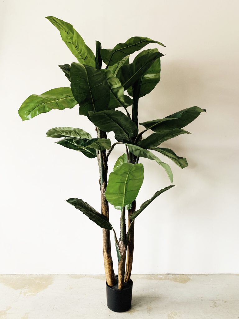 Kunstige planter/tørket strå – Trend Design AS